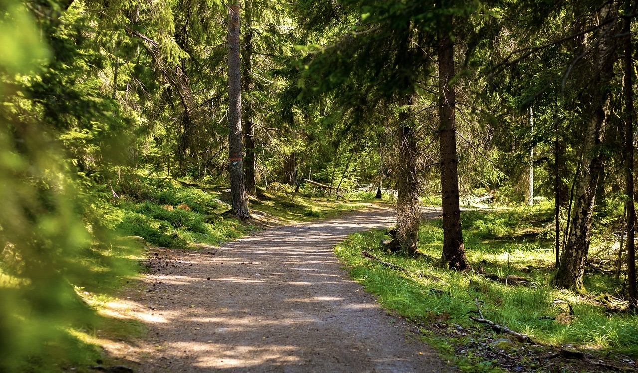 SwedishAnyDay: Interactive Exercises